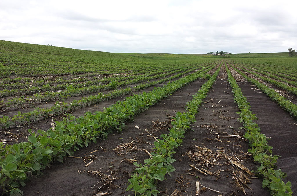 Projects Archive - NRCS