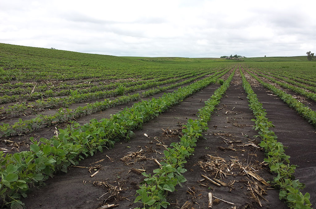 Resource Concern: Soil Erosion - NRCS