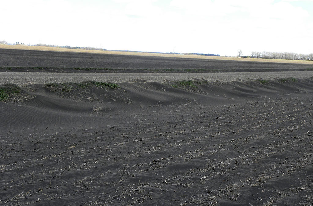 Projects Archive - NRCS